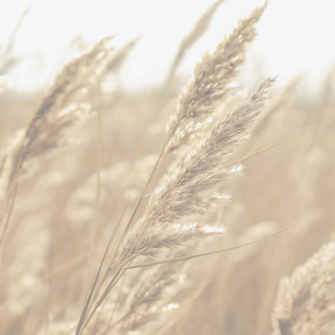 Viktiga e-handelsdatum 2023 | Bogio